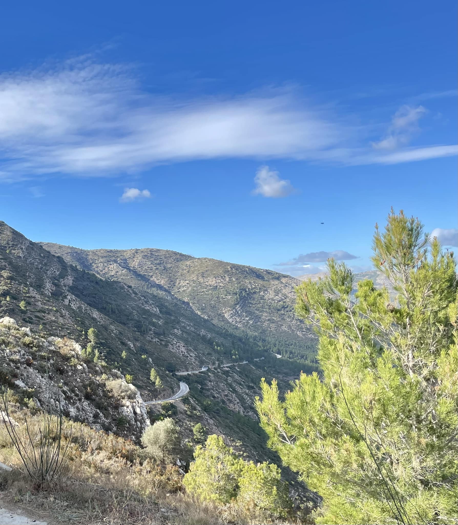 Energie-Update und Strahlendusche... - Tierkommunikation und Energetik