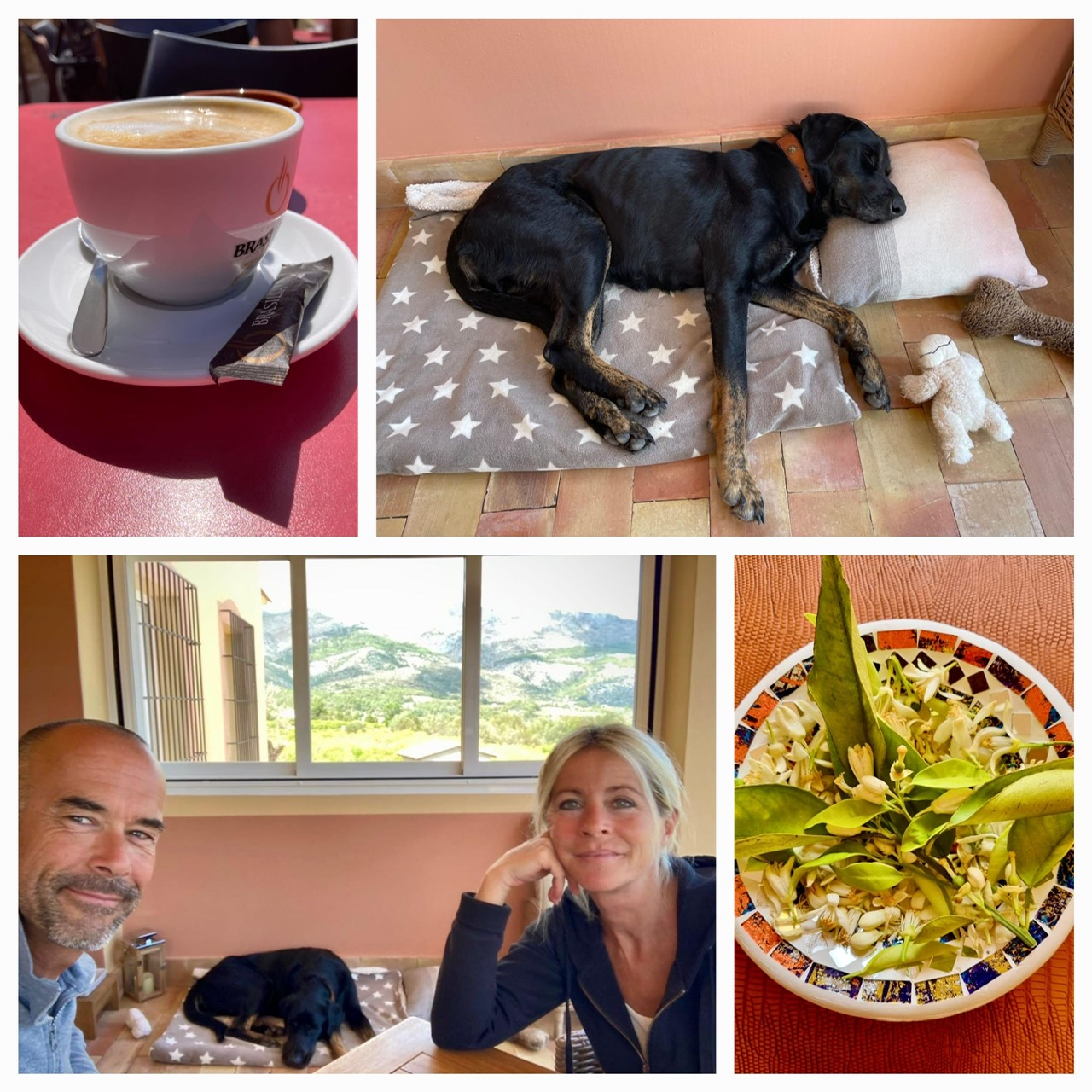 Filli und Enzo... - Tierkommunikation und Energetik