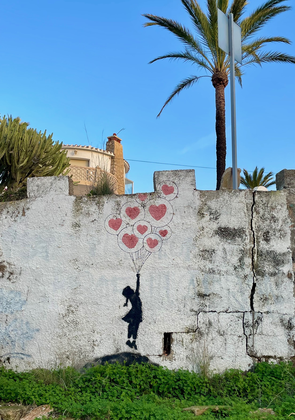 Pluto im Wassermann und das Schicksal der Menschheit... - Tierkommunikation und Energetik